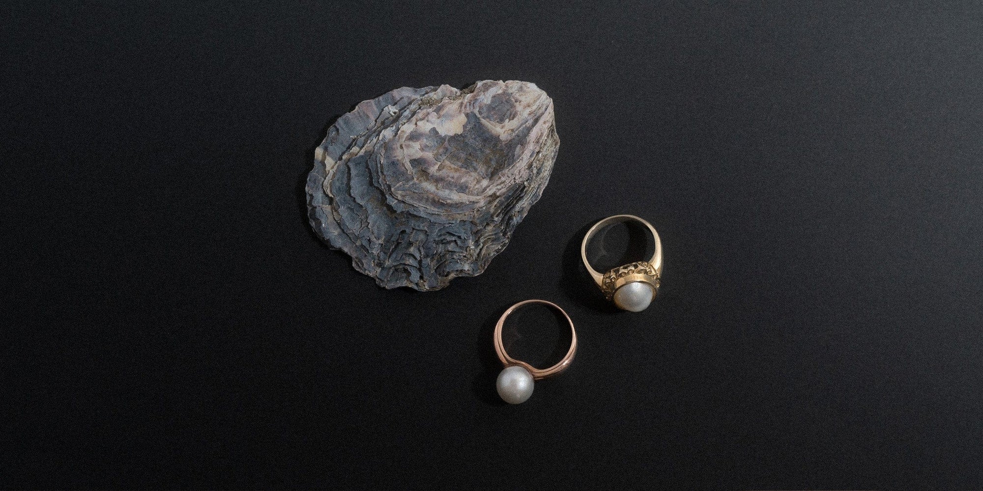 Understanding Pearls: Our Comprehensive Guide | Hogans Family Jewellers